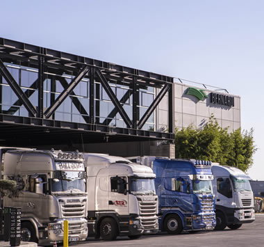 Transport of fruit and vegetables throughout Italy - Ortofrutta Bernardi